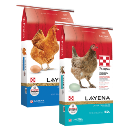 Purina Layena Layer Feed - Foreman's General Store
