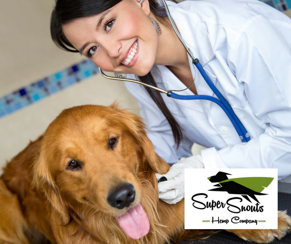 Super Snouts Hemp Company Products Now Available - Foreman's General Store