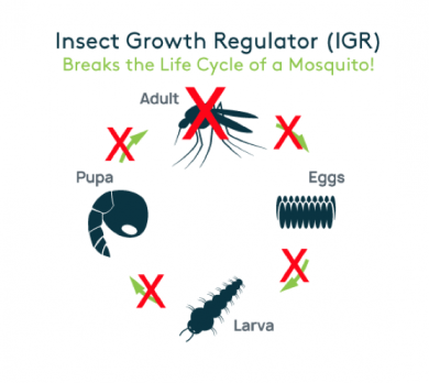 Mosquito Pro Ready-to-Spray - Foreman's General Store